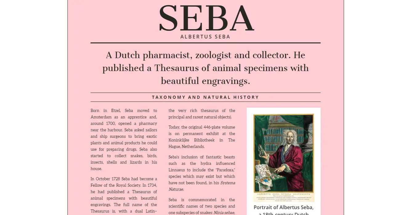 CSS magazine template